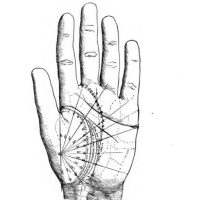 Notes From The Creator